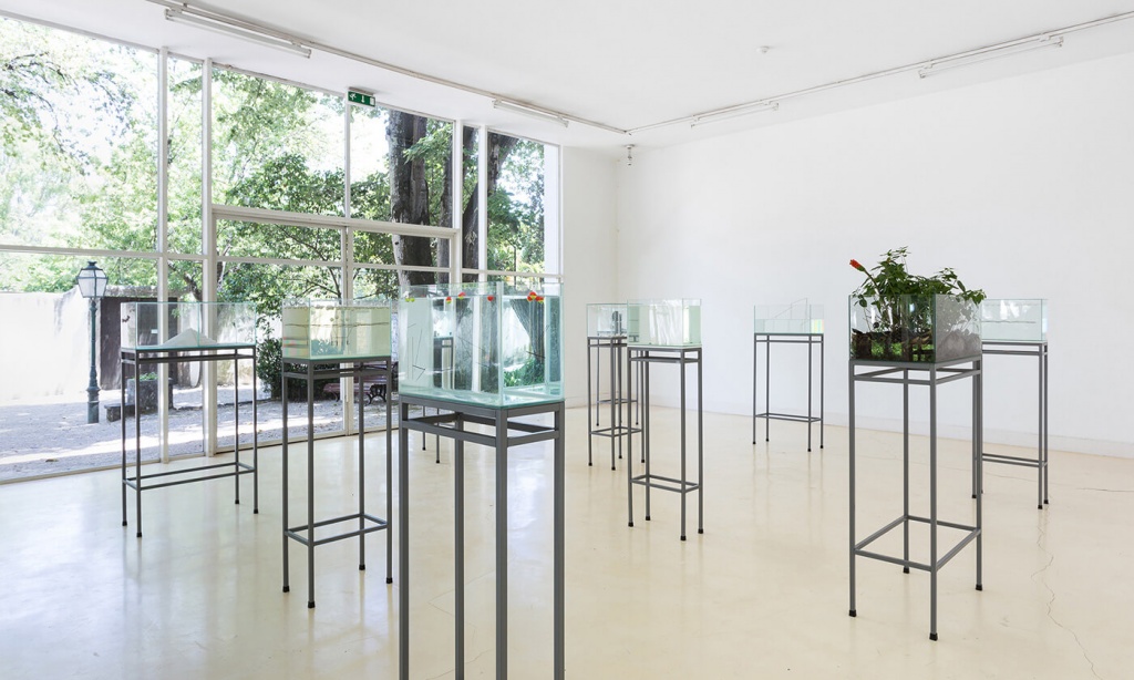 Emilia Azcárate — Abstraction in Action